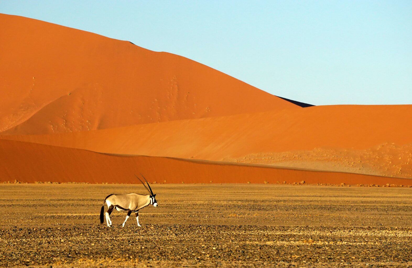 Soils And Physical Properties :Colors and Texture in Desert – African ...